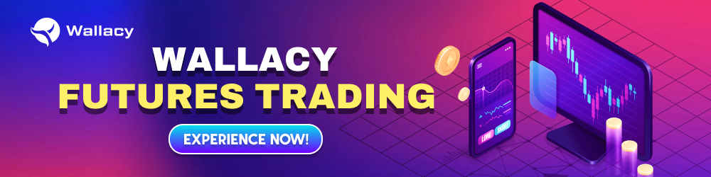 A Gamified and Hybrid Crypto Wallet | Wallacy